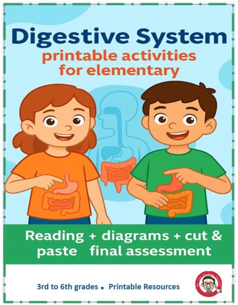 Digestive System Printable Activities For Elementary By Me The Helping