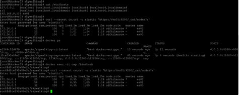apache skywalking with external elasticsearch cluster · apache