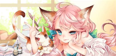 Download Pink Haired Anime Cat Girl Wallpaper