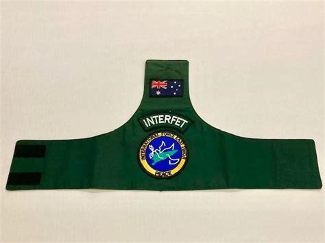 Peacekeeping In East Timor 1999—2000 Anzac Memorial Hyde Park Sydney