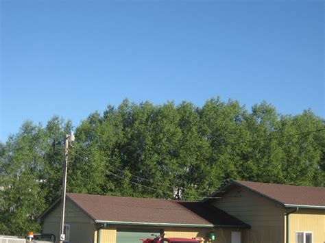 Fastest Growing Acreage Windbreaks