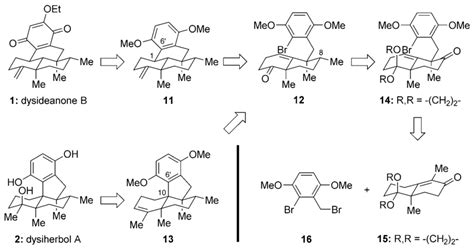 Retrosynthetic Analysis For Dysideanone B And Dysiherbol A Download