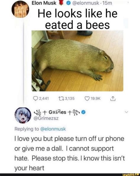 Elon Musk Elonmusk He Looks Like He Eated A Bees 2 441 113 135 19 9k It Ss Grimes