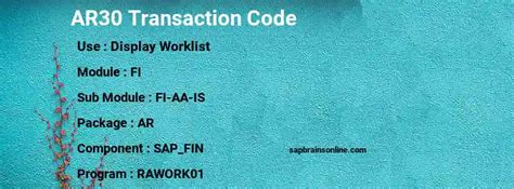 Ar30 Sap Tcode For Display Worklist