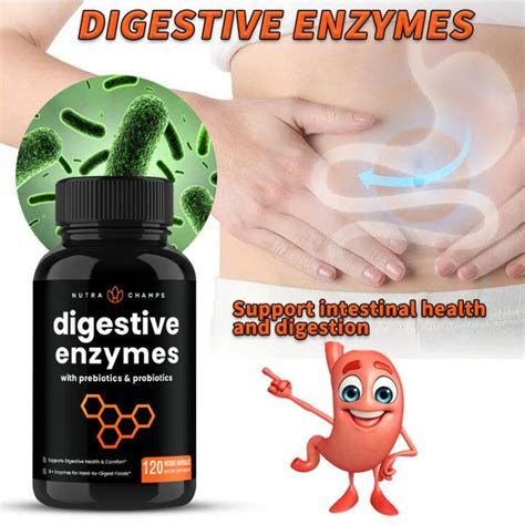 Probiotics Or Digestive Enzymes For Bloating At Jamie Anthony Blog