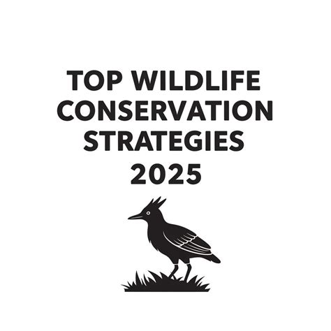Top Wildlife Conservation Trends To Watch In 2025 Graphic Eagle