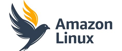 What Are The Key Differences Between Aws Ec2 And Aws Lambda Dev