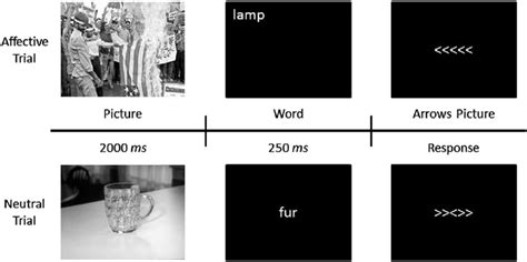 experiment example trials download scientific diagram
