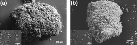 Microstructural Images Showing The Typical Surface Morphology Of A