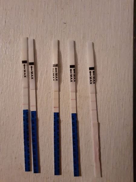 Positive Ovulation Strip Mumsnet