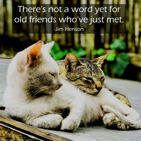 Theres Not A Word Yet For Old Friends Whove Just Met —jim Henson Charles Lenahan M A Lpc