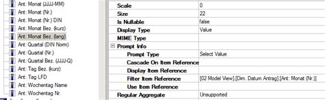 Cognos Framework Sortierte Wertelisten Konsilium