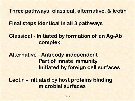 Ppt The Complement System An Essential Effector In Immunity