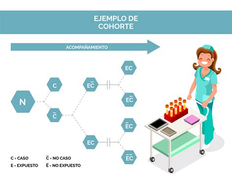 Bioestadistica Descriptiva Y Epidemiologia Sandra Avina Página 8