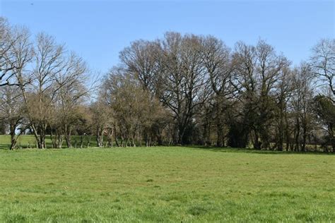 Pasture Near Staplehurst © N Chadwick Cc By Sa 2 0 Geograph Britain