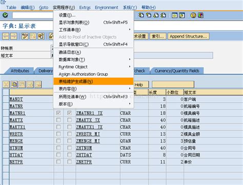 Sap中建立表格维护的tcodesap Program生成tcode Csdn博客