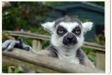 Ini Edo Shows Her Sexy Dance Steps Photos Celebrities 2 Nigeria