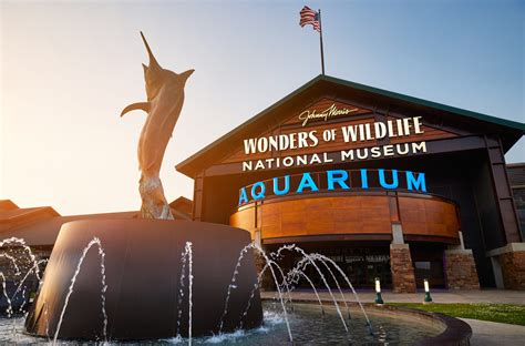 Wow Blog Wonders Of Wildlife National Museum And Aquarium