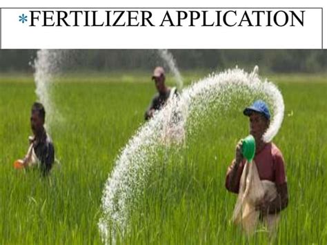 Perform Estimation And Calculation Pptx