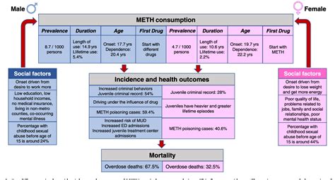 Figure 1 From Sex Differences In Methamphetamine Use Disorder Perused