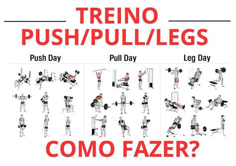 Treino Push Pull Legs Como Fazer