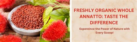 Spicy Organic Annatto Seeds Whole 4 Oz Usda Certified