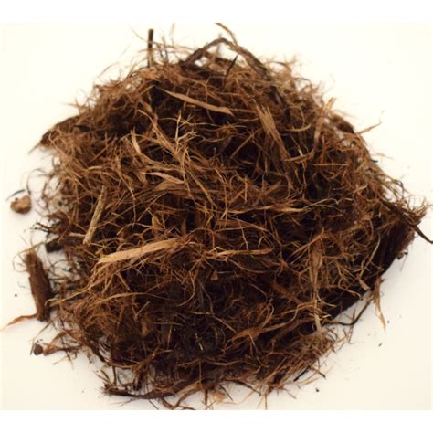 Fibre De Peuplier Terreactuelle