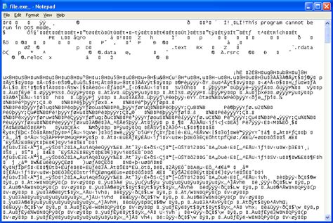 Escalating Java Exploitation Kahu Security