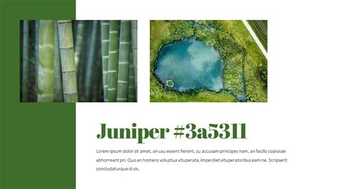 Green Spectrum Google Slides Template Diagrams Design Lifestyle