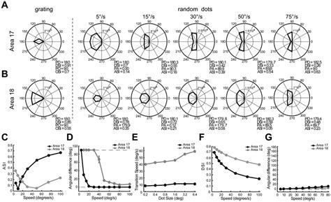 Model Simulations For Direction Selective Cells At Both Single Cell And Download Scientific