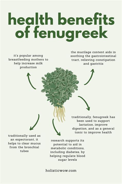 Health Benefits Of Fenugreek A Quick Guide Fenugreek Leaves Benefits