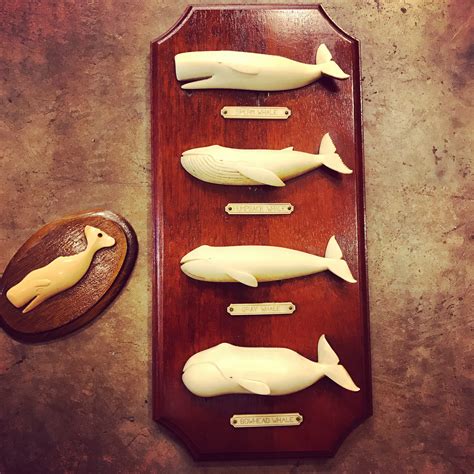 Nautical Dolly Python