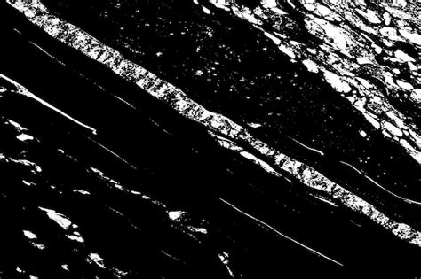 Abstract Monochrome Marble Texture Vector Premium Vector