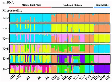 graphic derived from the program structure we repeated the bayesian