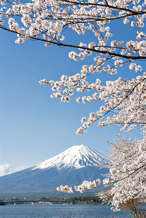 Pinterest Pretty Landscapes Landscape Photography Nature Landscape
