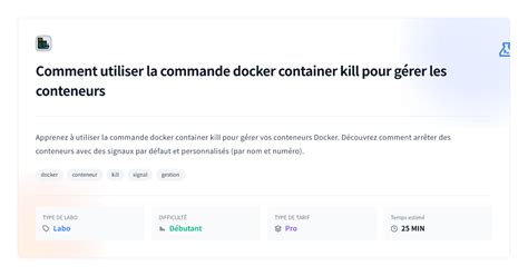 commande docker container kill guide complet pour gérer les