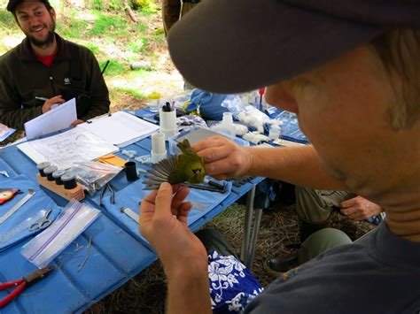 Research Highlights Hawaiʻi Climate Data Portal