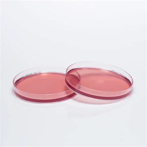 Hazır Macconkey Besiyeri Çeşitleri Ve Fiyatları