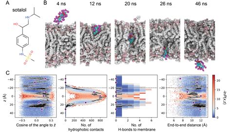 Orion Permeability Workflow Orion Small Molecule Discovery Suite