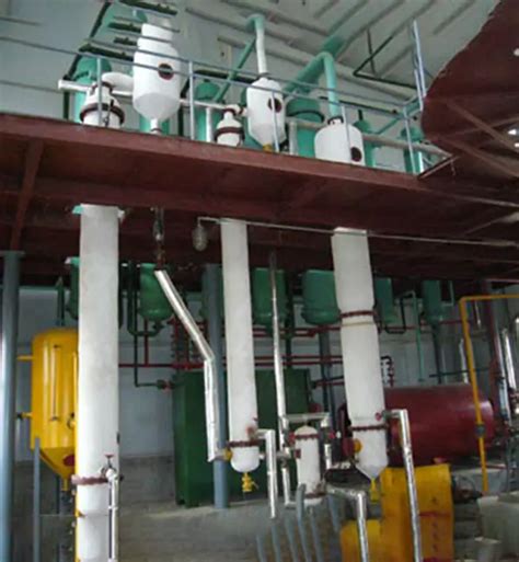 Premium Corn Maize Germ Rk Agro And Food