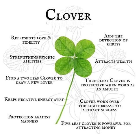 Plant Symbolism A Guide To The Spiritual Meaning Of Plants Artofit
