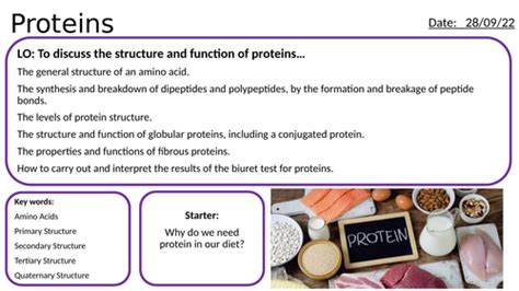 Asa2 Level Aqa Biology Structure And Types Of Protein Amino Acids