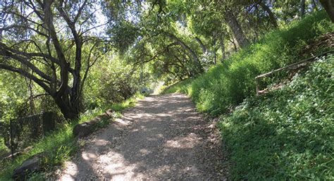 Sixty Five Miles Of Trails In Balboa Park San Diego Reader
