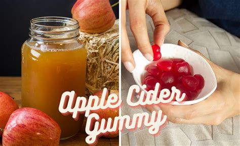 The Apple Of Your Eye Our Top Picks For The Best Apple Cider Gummy