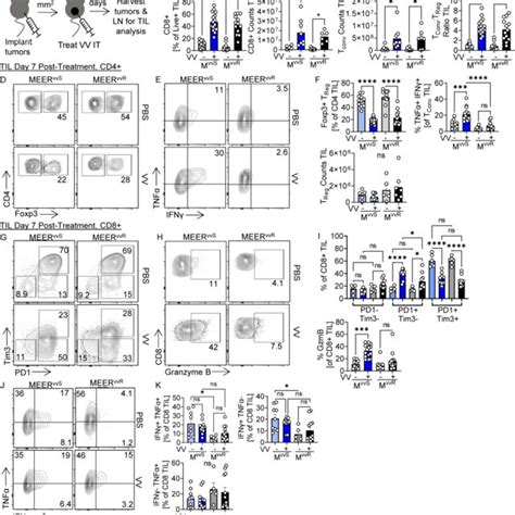 Nk Cells And Cancer Cell Interaction Nk Cells Produce Download