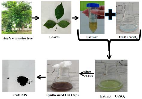 Green Synthesis Of Copper Oxide Nanoparticles From The Leaves Of Aegle