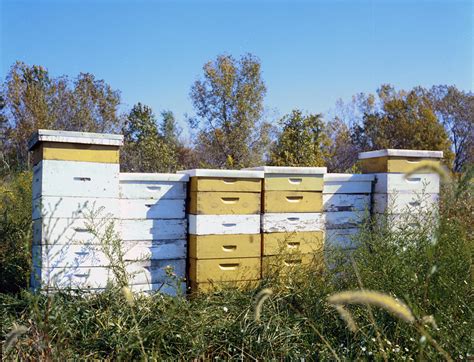 Igoe Process Model What Is A Scope Diagram Edrawmax Online 6