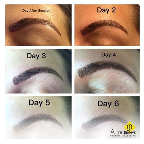 Microblading Healing Process Important Guide Week By Week