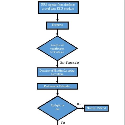 Pdf Importance Of Classification Algorithms In Epileptic Seizure Detection