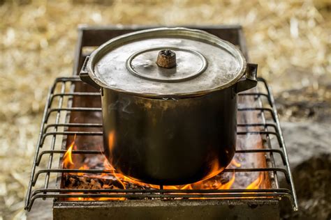 Riesgos Para La Salud De Consumir Alimentos Quemados